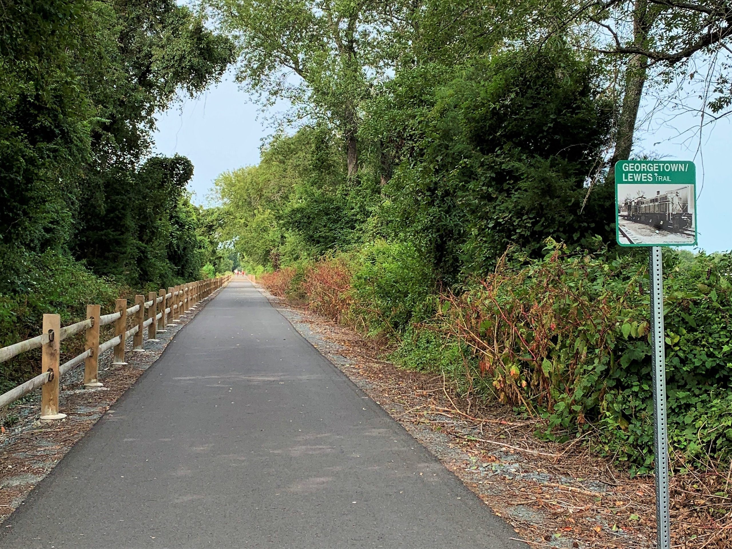 Georgetown-Lewes Trail Survey Report Complete - Delaware Greenways